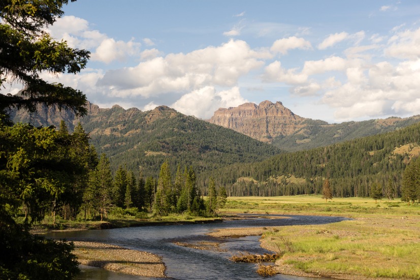 Yellowstone National Park: het mooiste natuurpark van Amerika